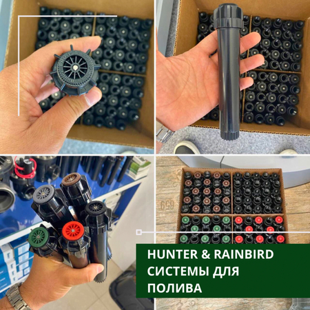 Hunter, Rainbird