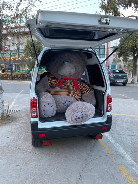 Teddy sotiladi yangi