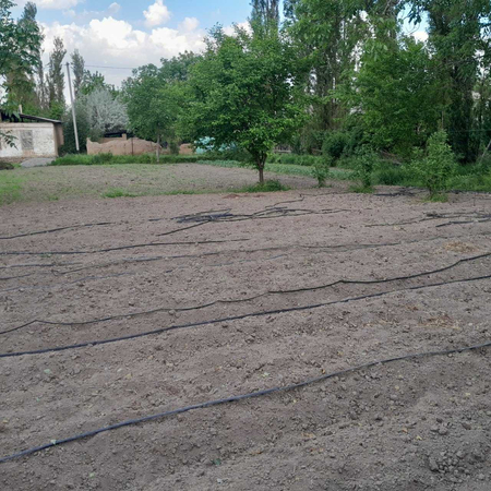 Ер сотилади 10 сотик