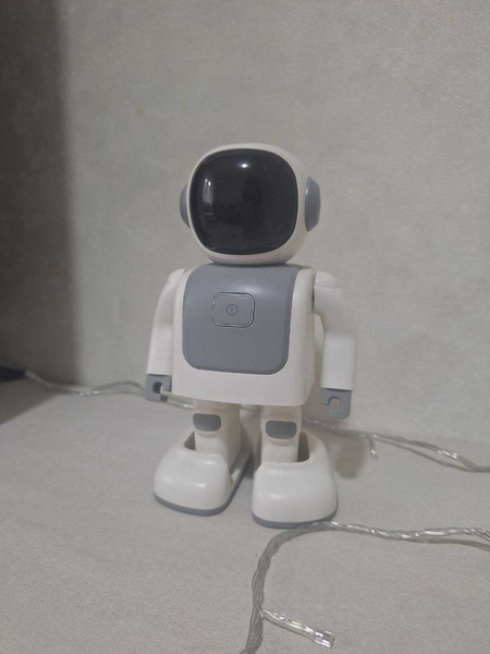 Танцующий робот Robert