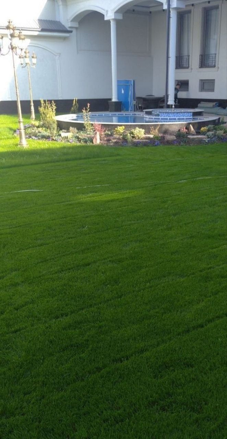 Gazon o'rish va sug'orish (стрижка газона, газон уриш) SUPER CLEAN