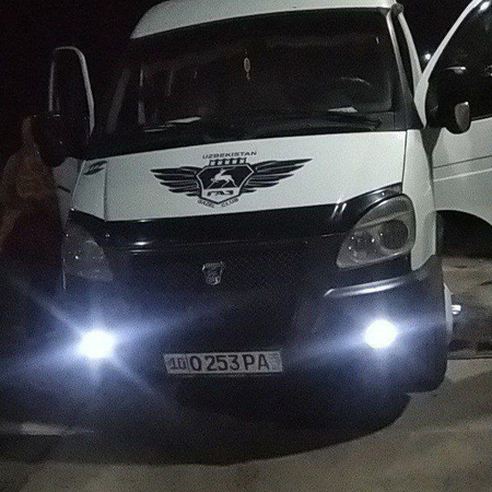 Gazell luk sastayana zoʻrr