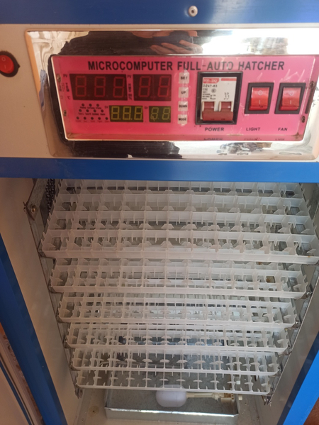 Inkubator jo'ja ochirish uchun