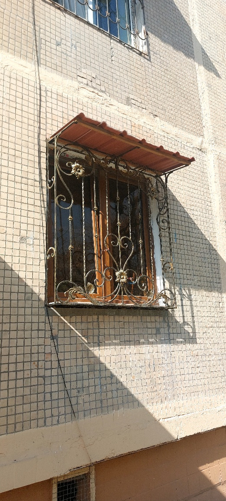 Решётка на окнах, Решётка и Казырков
