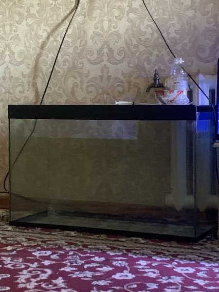 akvarium sotiladi 150/180 litrcha