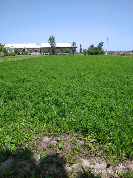 20 sotix hujatlari joyida