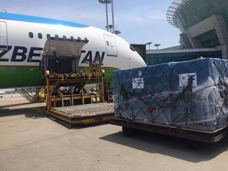 Express Ruchnoy. Aviadostavka, Aviaperevozka, kargo Istanbul -Tashkent
