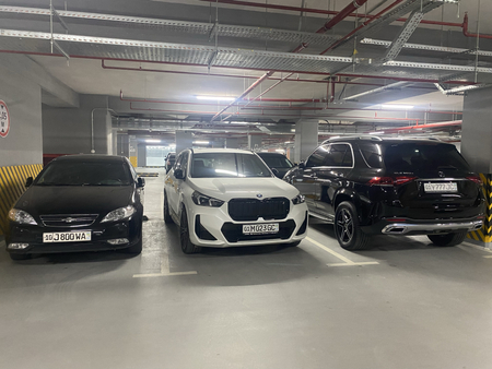 English speaking driver with a car!
