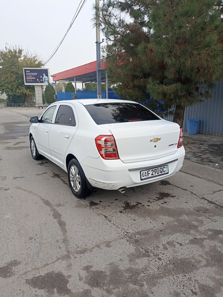 Коболт автомат 2021
