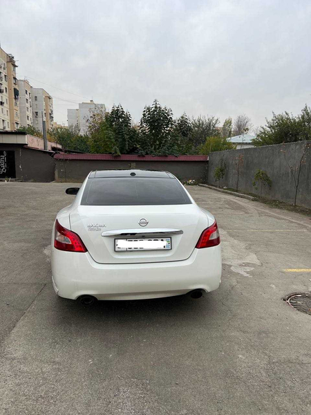 NISSAN Maxima Сотилади холати идеал 2009-йил