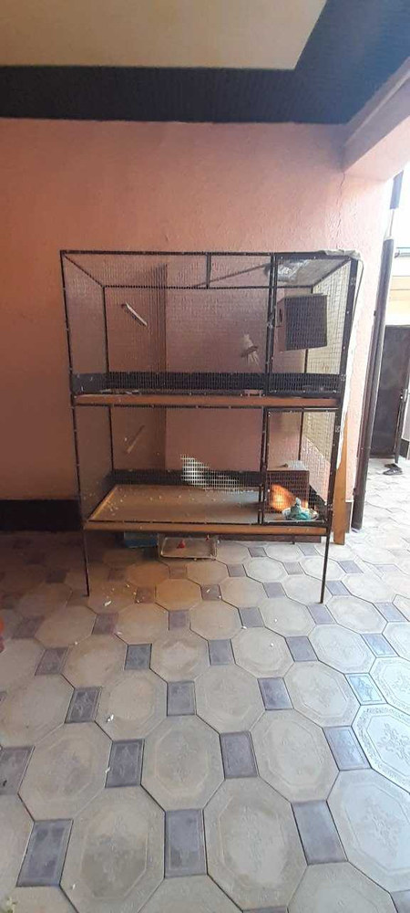 Qushlar qavasi sotiladi