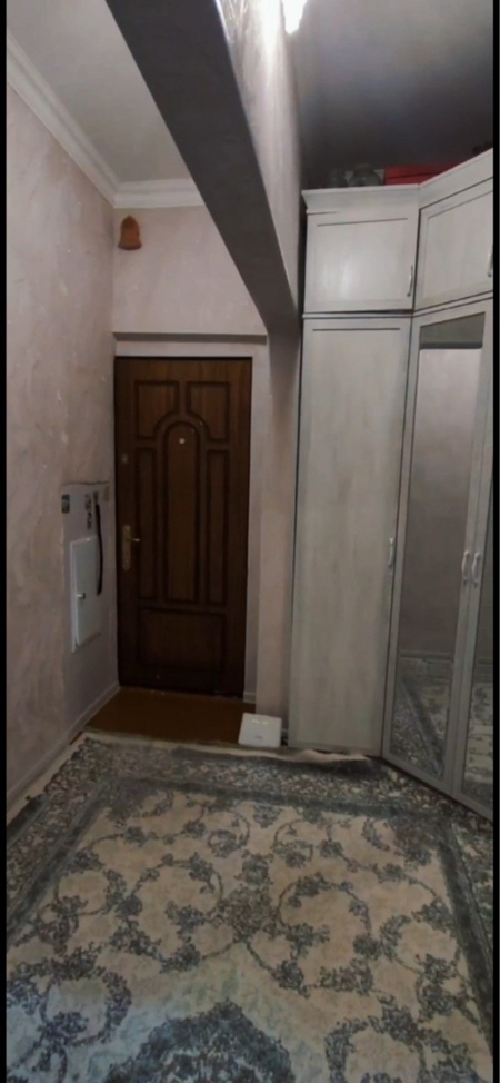 Алоқа 5/5/5