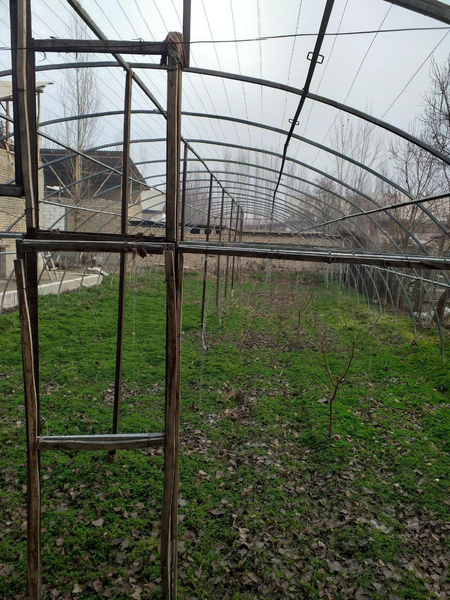 Парник сотилади андижон избосканда