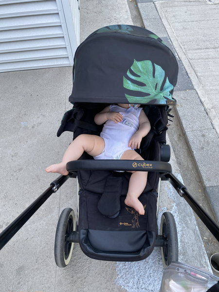 Премиальная коляска Cybex Priam 2 Piridise