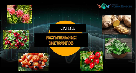 Клеточное питание Success Day - для Энергии дня!!