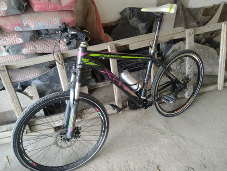 Velosiped 26 xds