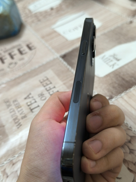 iPhone 12 pro max