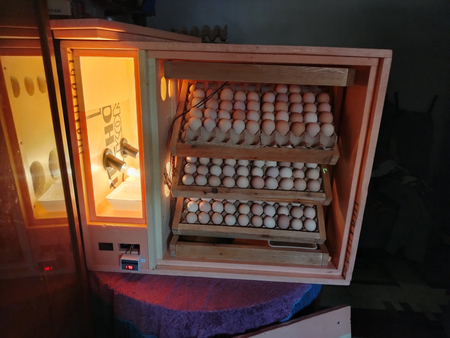 Продам 3 штуки инкубаторы.