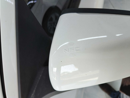 BYD E2 restling 401 km 2023 ок