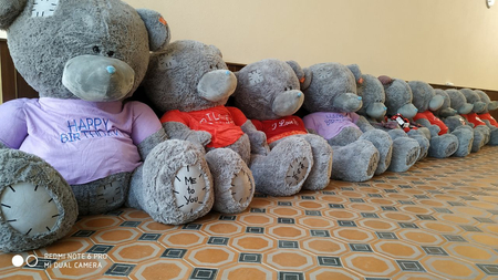 Teddiylar teddy orginal ayiqchalar