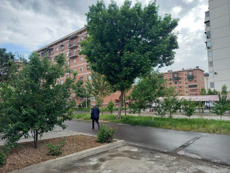 Uchastka yer xisobda sotladi