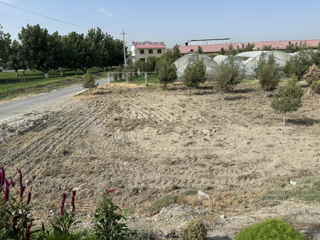 Noturar yer Oqdaryo tumani Sayohat