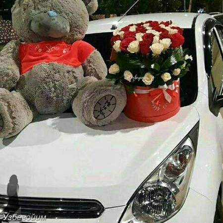 Teddy va Boshqa yumshoq oʻyinchoqlar