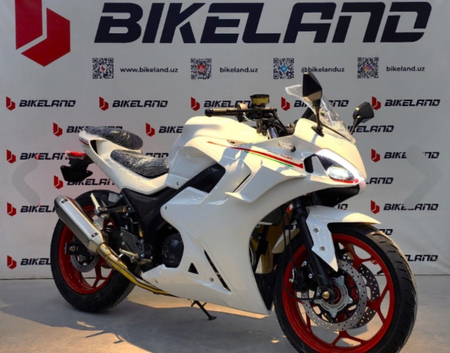 Bikeland “PANIGALE” Stage-3 (ABS)