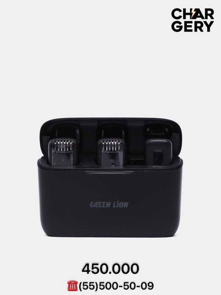 Green Lion 2 in 1 Wireless Microphone