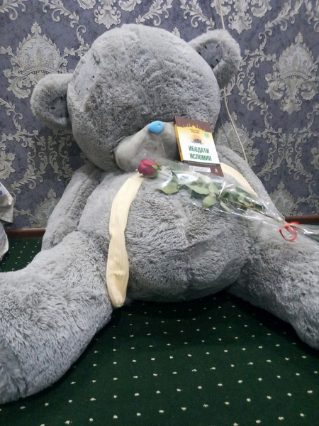 Katta TEDDY ayiqchasi. Uzunligi 1.5 metr