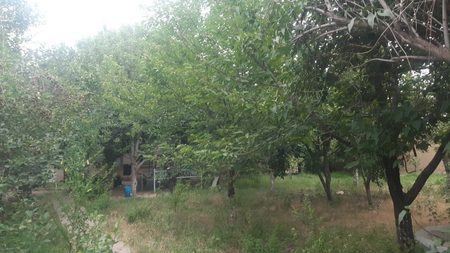 Бизнес учун ховли сотилади