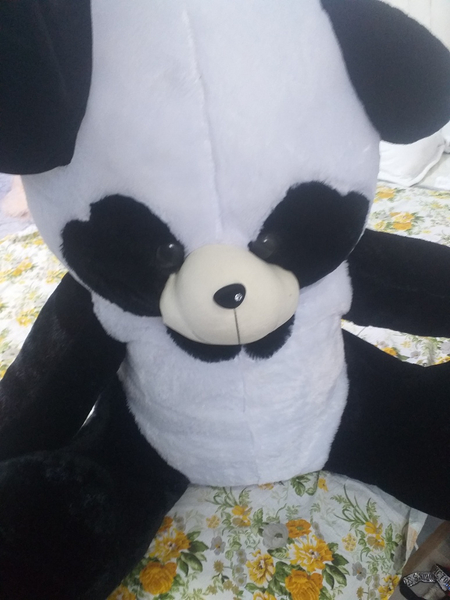Teddy ayiq Тедди айик