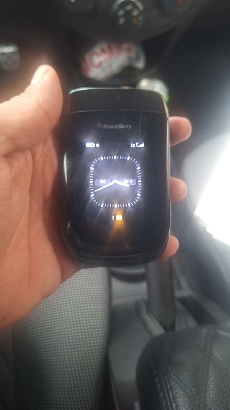 Black Berrry perfectum