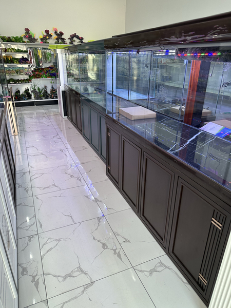 Xitoy zavadskoy akvariumlar Assartiment