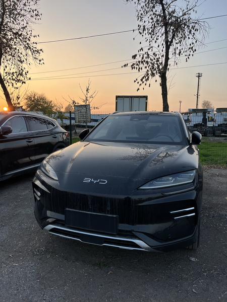 BYD champion 25