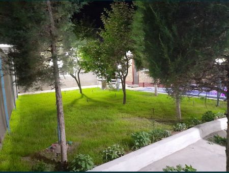 Dacha. Oila bikan