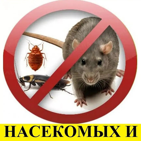 Dezenfeksiya Дезинфекция dezinfeksiya дезинсекция клоп таракан klapa t