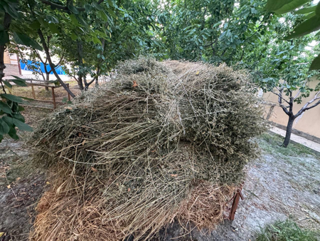 Беда сотилади