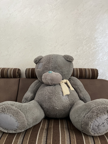 Катта оригинал Teddy мишка сотилади