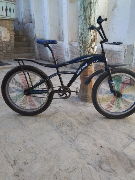 Oddiy holati yaxshi velosped