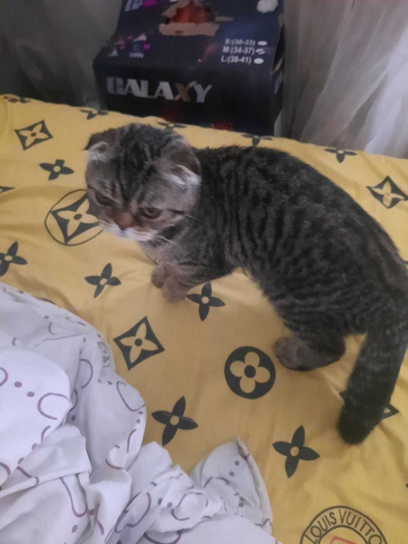 Хотим в любящую семью