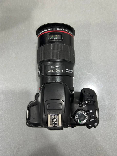 Canon 650 D macro 100 original