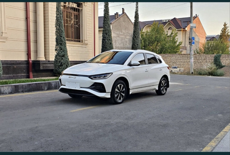 Byd e2 2023 yil 7.000 km yurgan