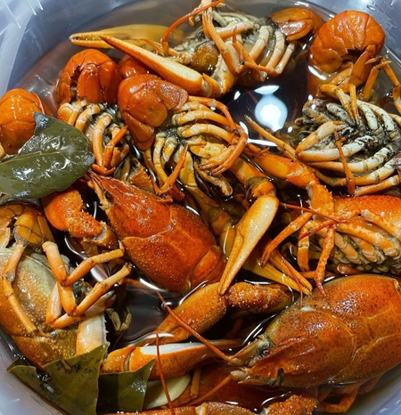 Раки (кискичбака)