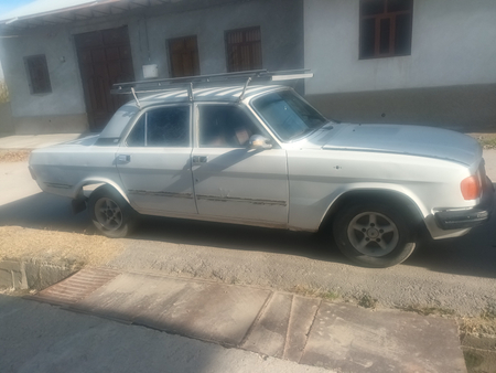 Volga_31029 гбаспг