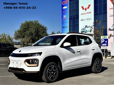 Electro Car Dongfeng NANO BOX
