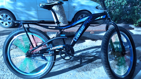 Bmx eng katta varianti