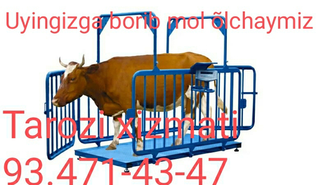 Mol va quylar uchun tarozi xizmati