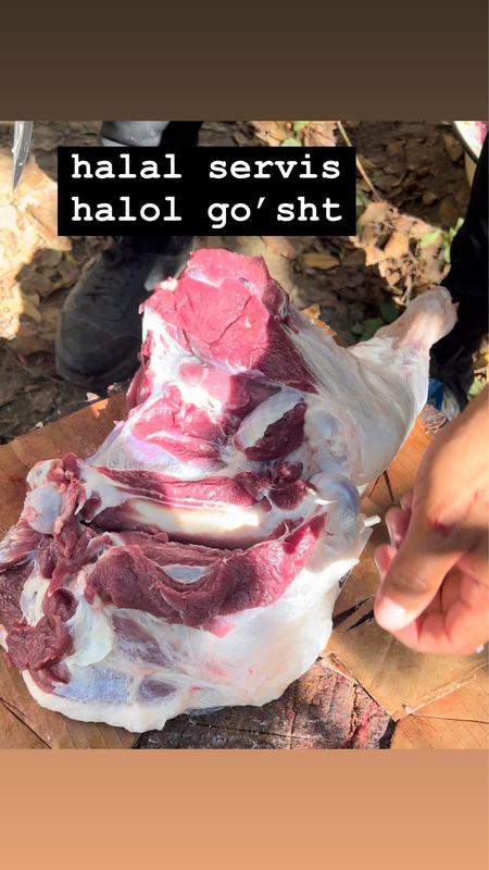 Halal Servis, Halol go’sht. qassob, tirik qo’ylar