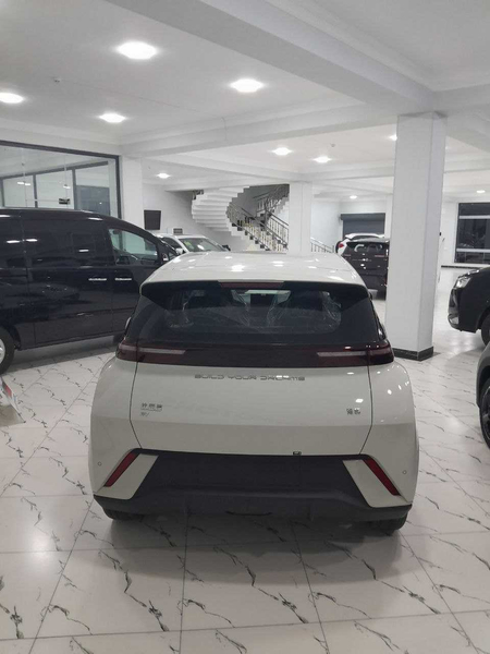 byd seagull nalichida bor
